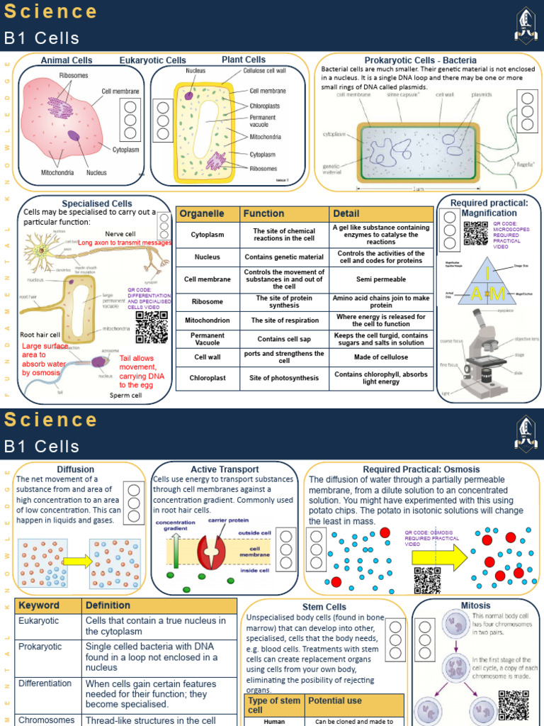 B1 - Trilogy Cells - Knowledge Goal | PDF | Cell (Biology) | Cell Nucleus