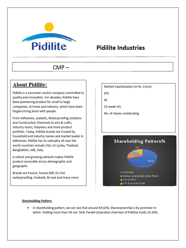 Pidilite Company | PDF