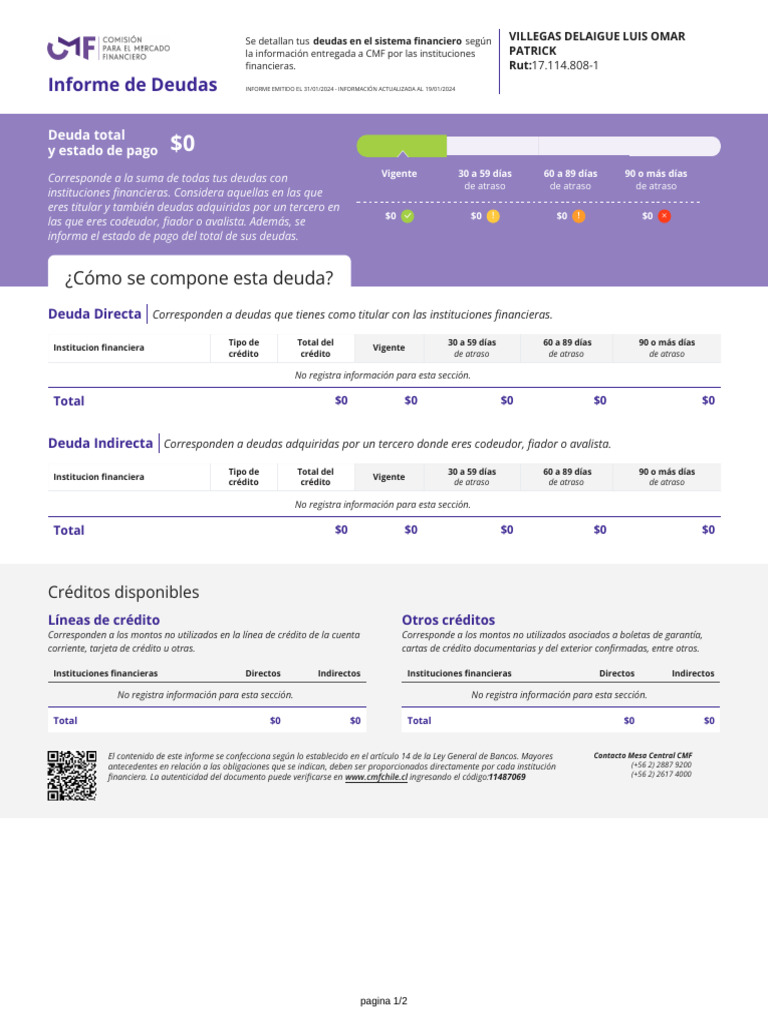 Informe Deudas PDF | Descargar gratis PDF | Deuda | Crédito