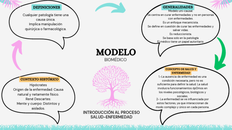 Mapa Mental Modelo Biomédico | PDF