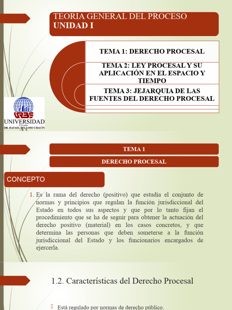 Teoriga General Del Proceso | PDF | Ley procesal | Evidencia (ley)