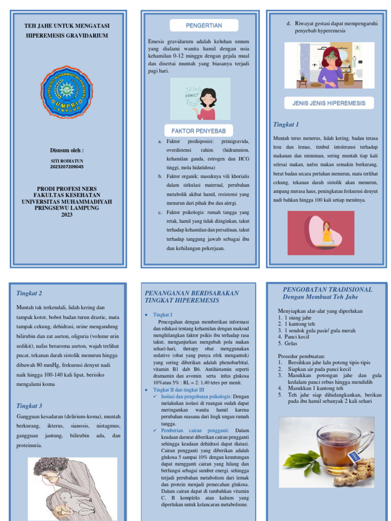 LEAFLET TEH JAHE Perbaikan | PDF