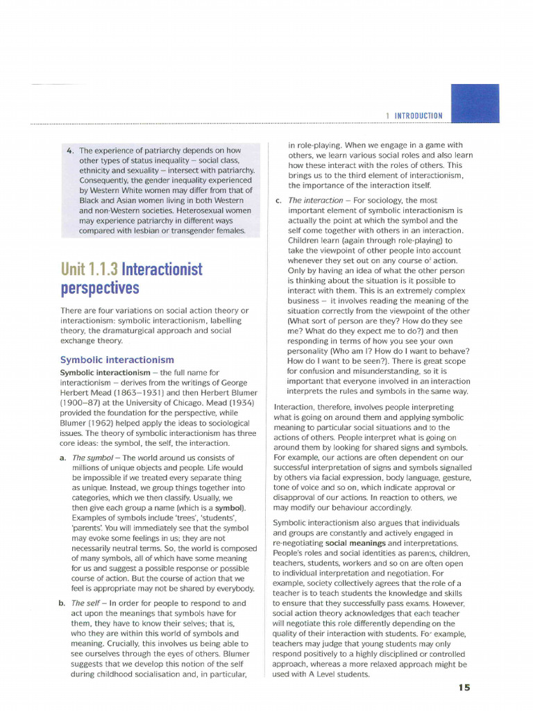 1 1 3+interactionist+view | PDF
