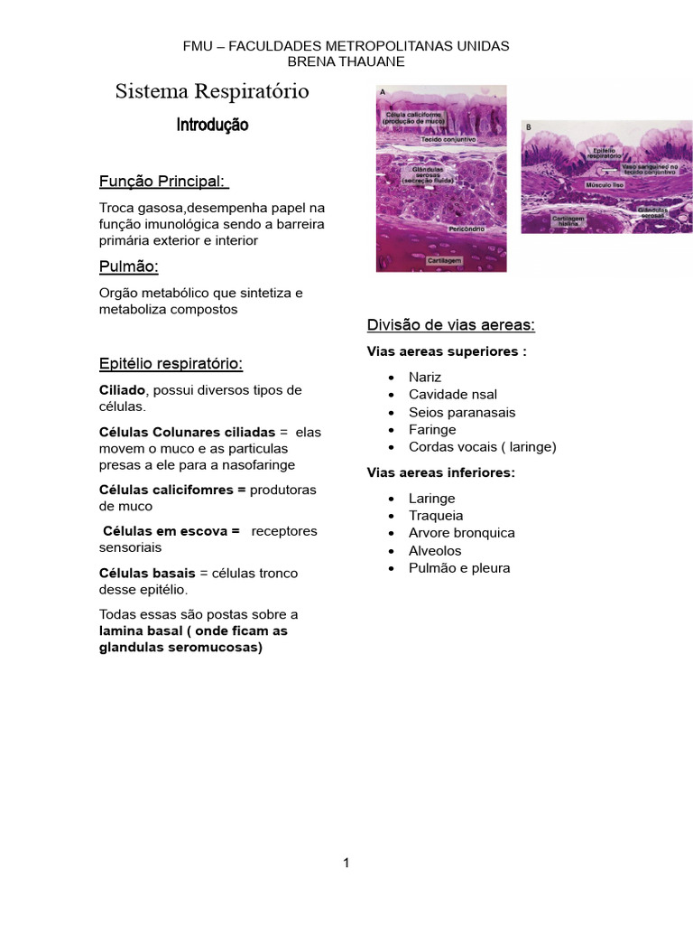 Sistema Resp | PDF | Bem-estar