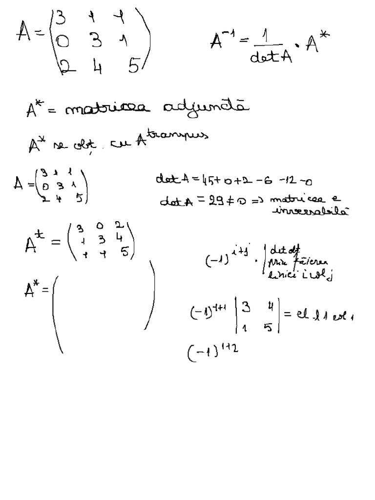 Matrice Inversabila | PDF