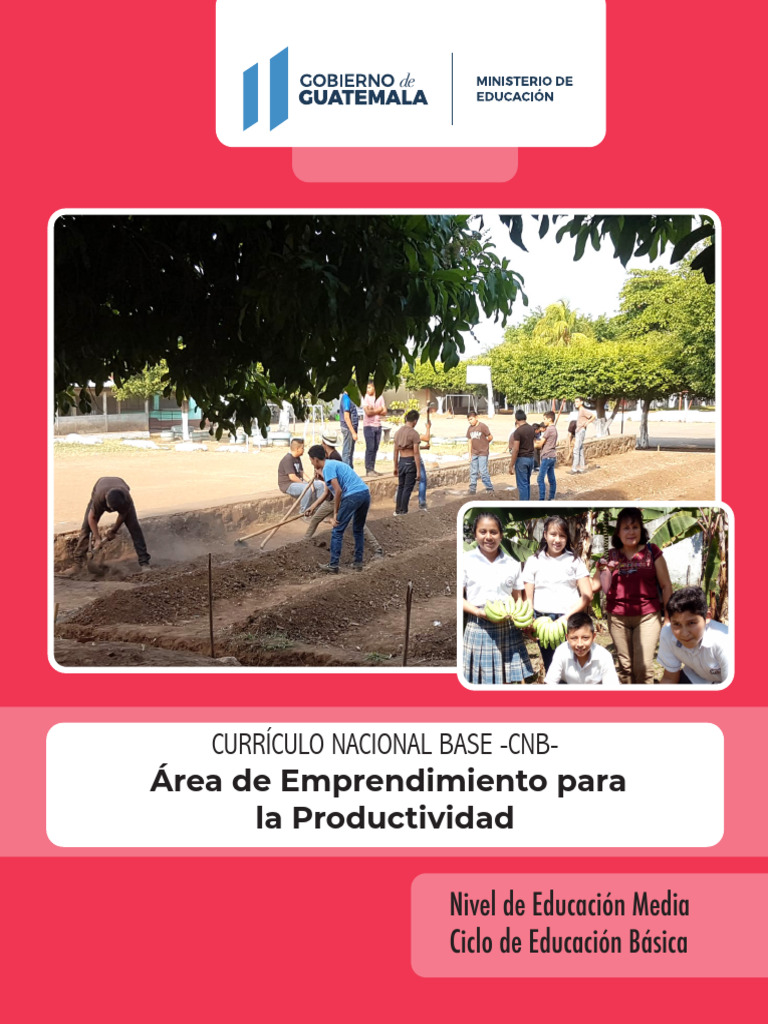 CNB Emprendimiento para La Productividad Ciclo Básico | PDF | Crecimiento personal y profesional