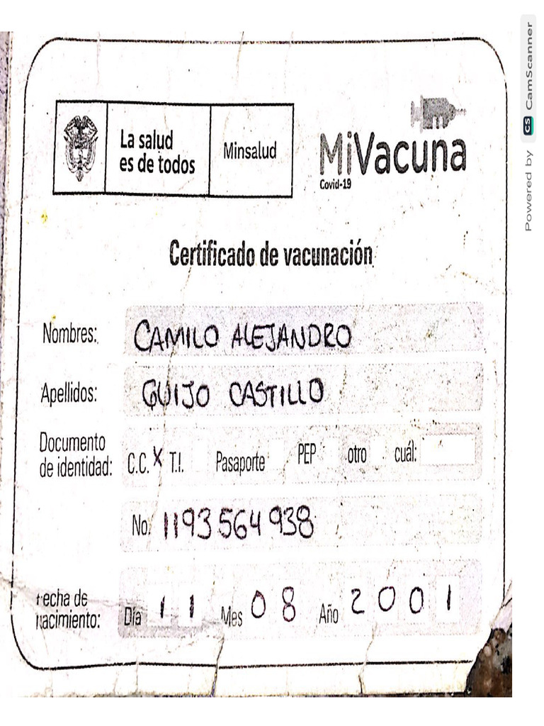 Alejo Vacunas Merged | PDF