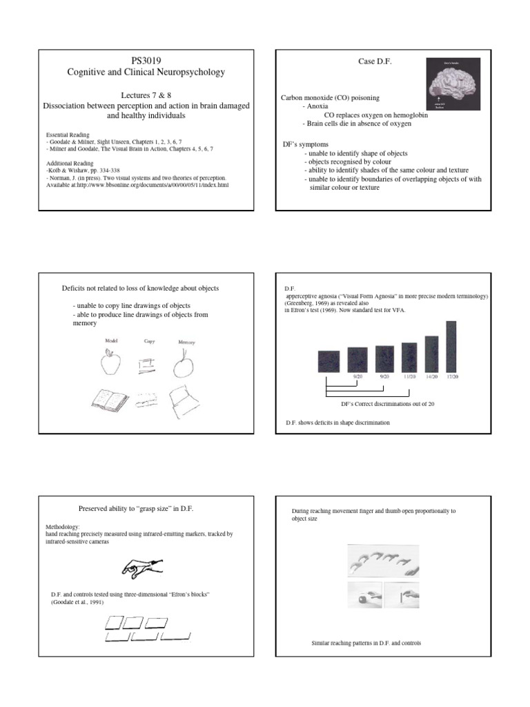 Dissociation Between Perception and Action in Brain Damaged and Healthy ...