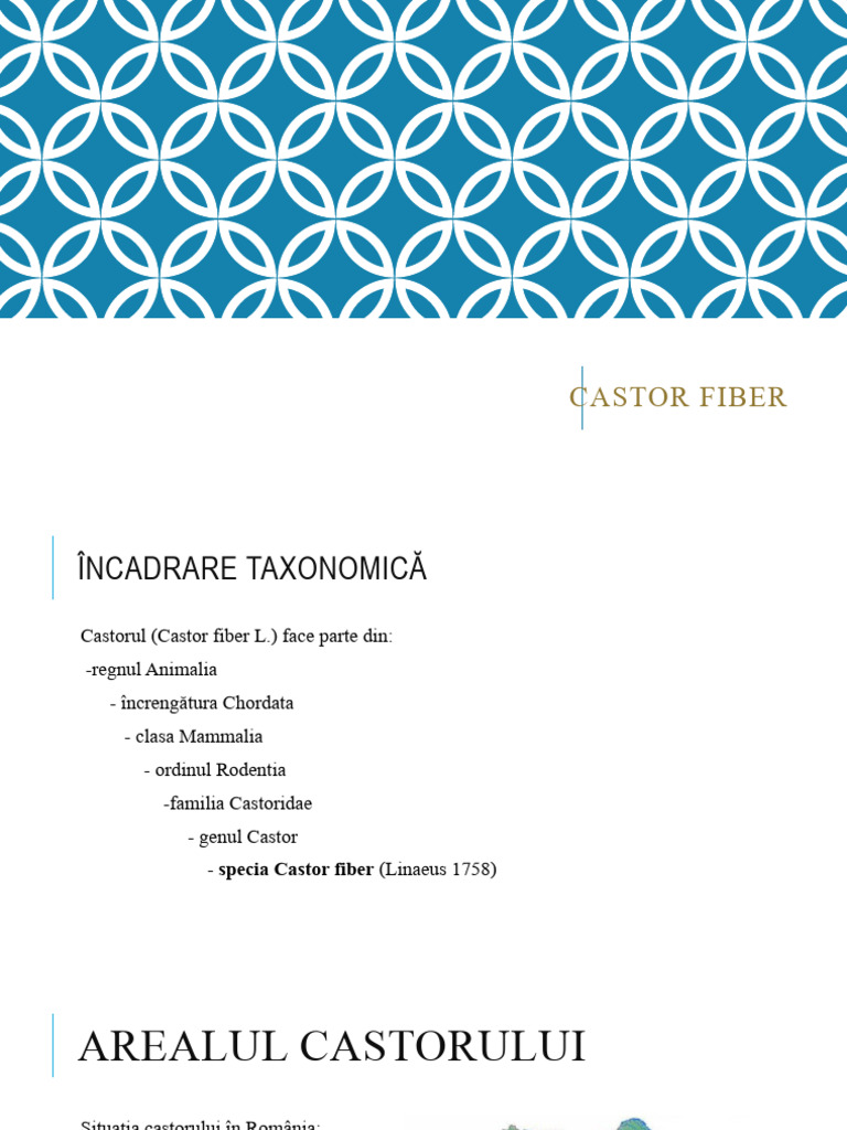 Castor Fiber | PDF