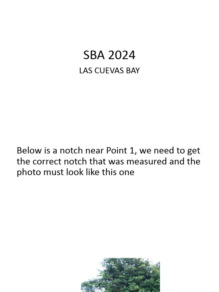 Las Cuevas Bay Pics | PDF