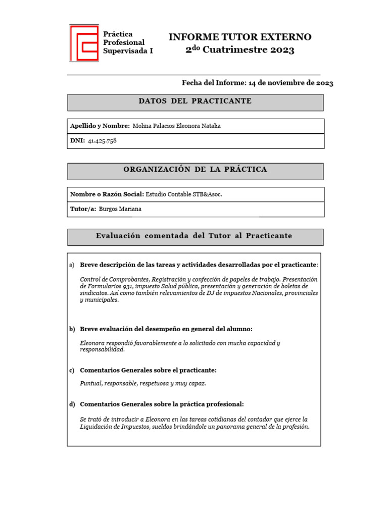 Informe Tutor Externo. | PDF | Negocios | Arte