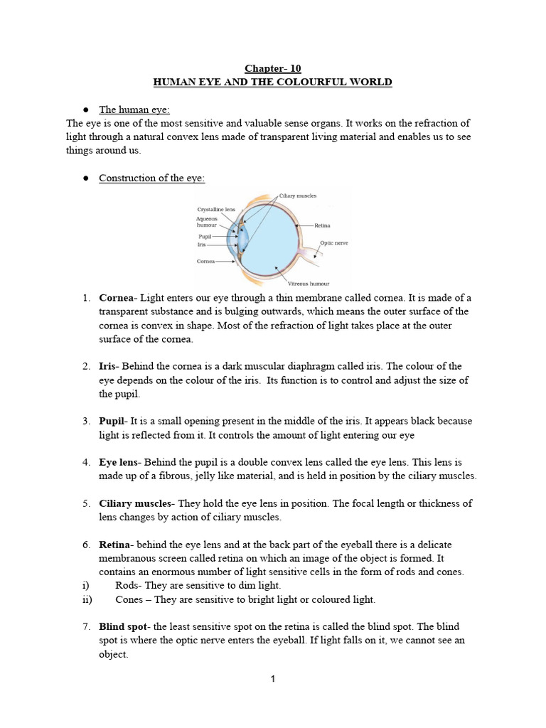 Ch-10 Human Eye Notes Final | PDF | Eye | Refraction