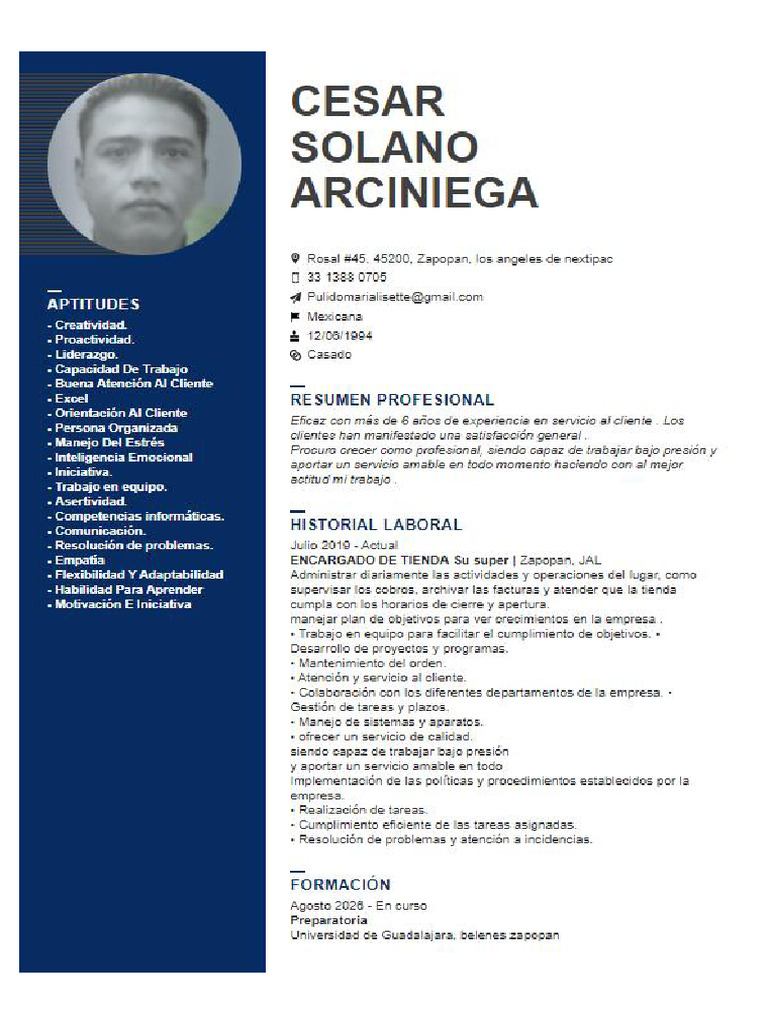 Curriculum Cesar | PDF