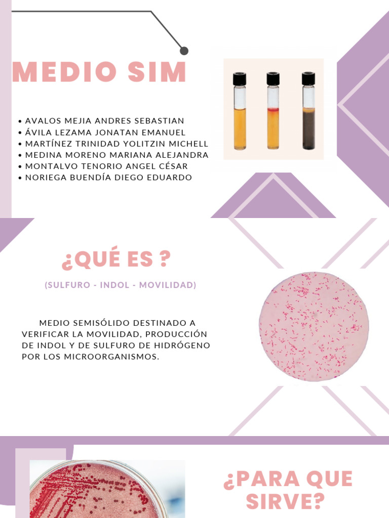 Pruebas IMVIC - 20231110 - 114506 - 0000 | PDF