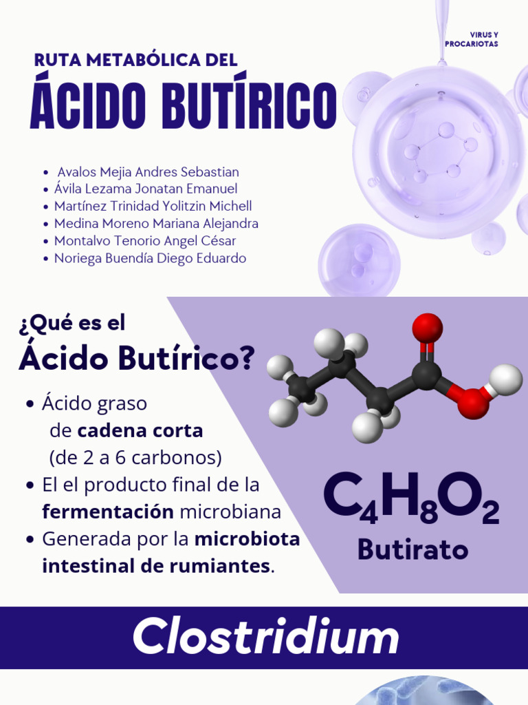 Ácido Butírico | PDF