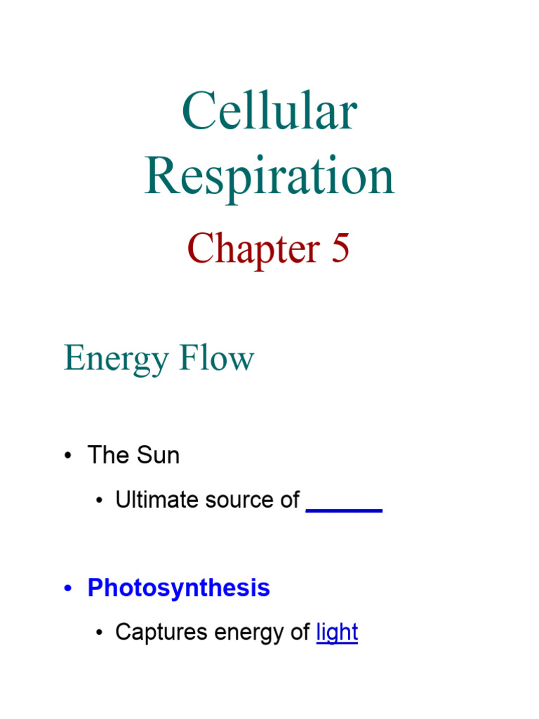 Chapter 5 - Cellular Respiration-2021 | PDF