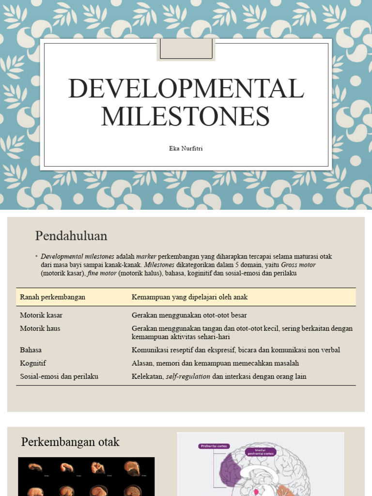 Developmental Milestones | PDF