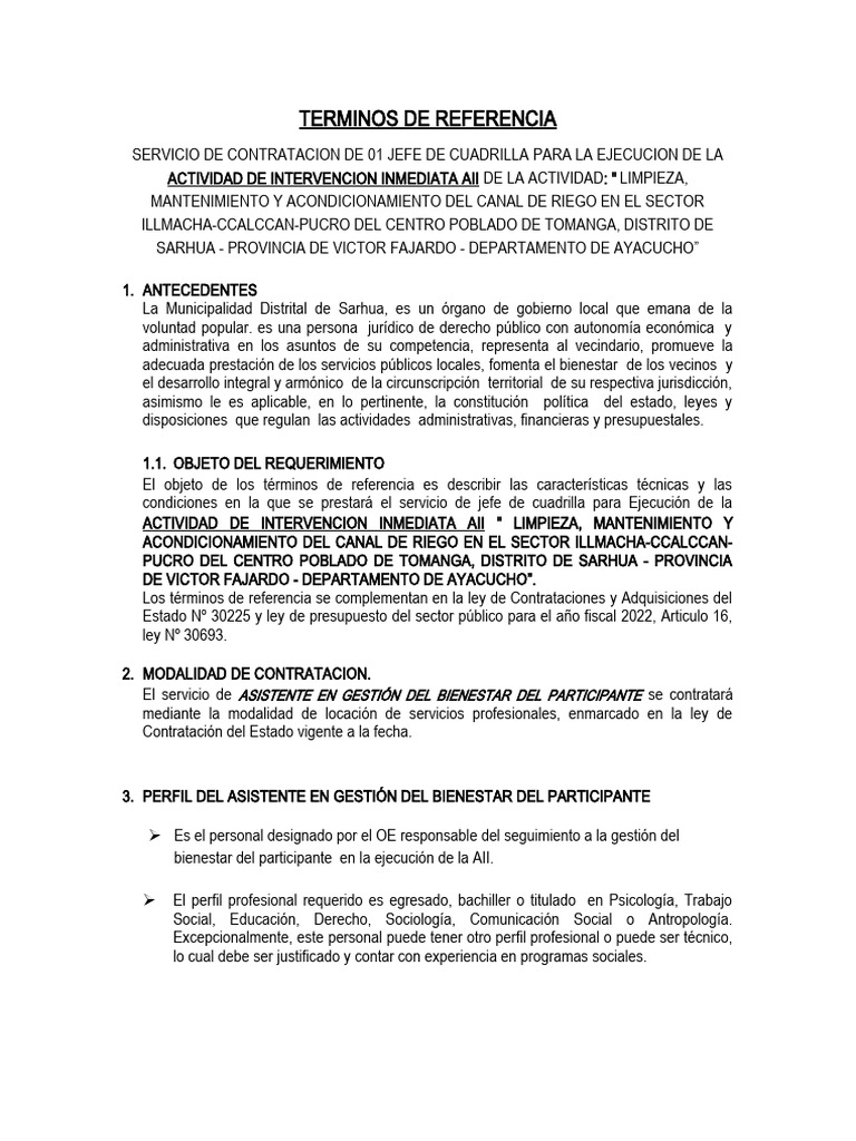 TDR de Asistente Binestar Social - S | Descargar gratis PDF | Gobierno