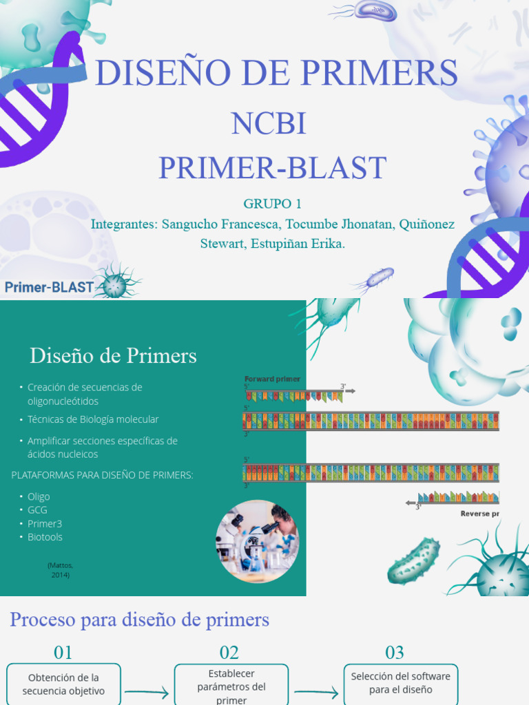 Diseño de Primers - 20240116 - 104435 - 0000 | PDF