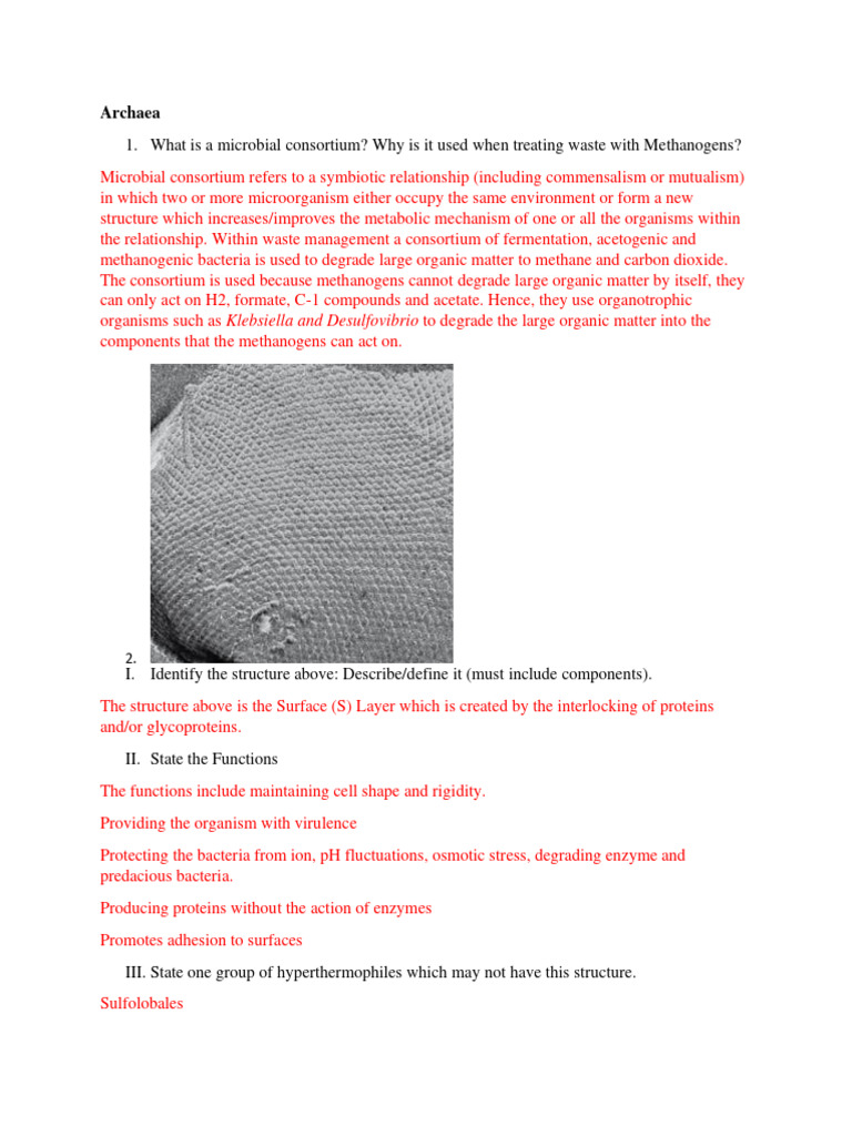 Archaea, Fermentative and GC Content | PDF | Bacteria | Archaea