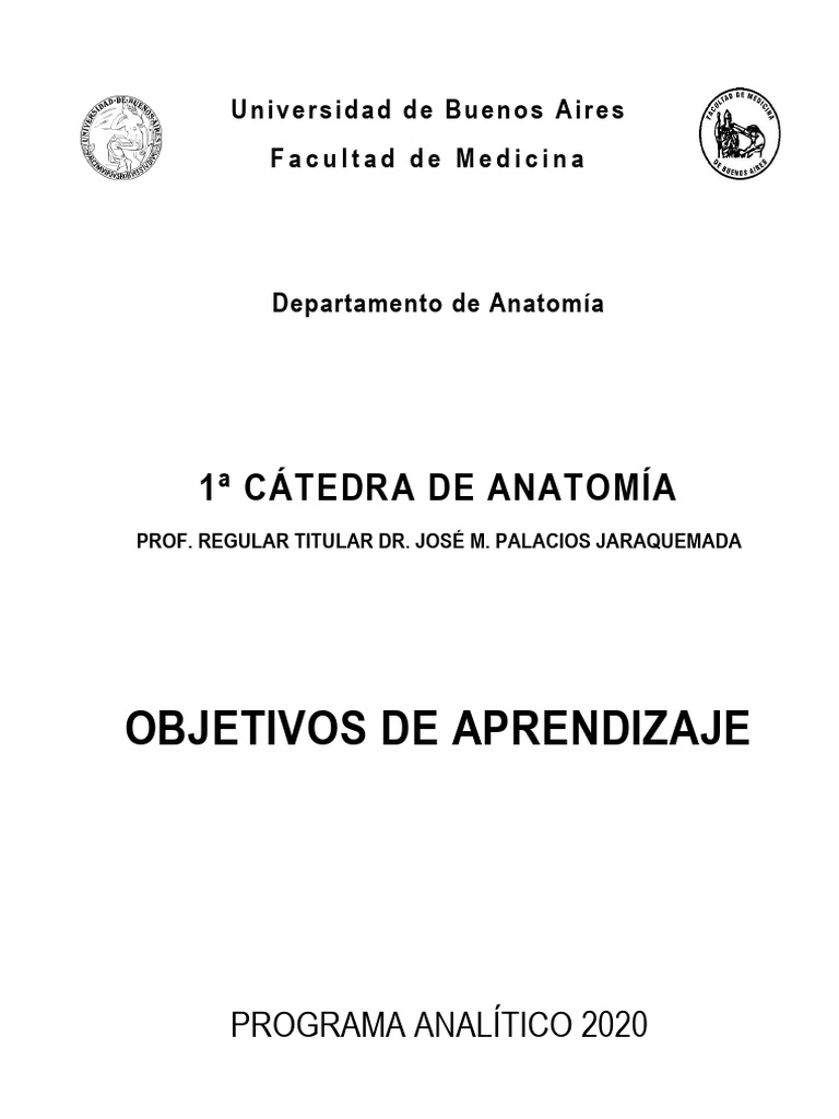 Anatomía Uba 1 Catedra | PDF | Abdomen | Tórax