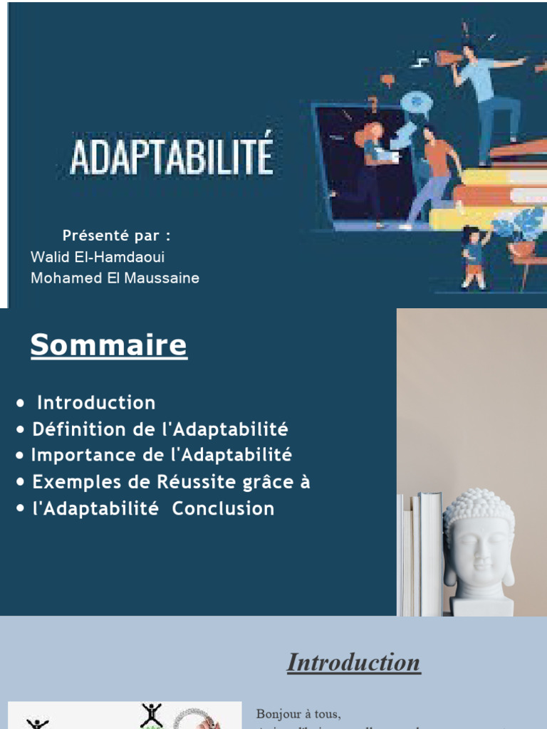 Présentation Sur L'adaptability | PDF | Économie