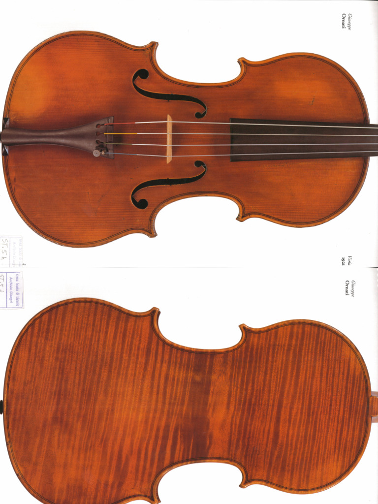 Viola Ornati 1921 | PDF
