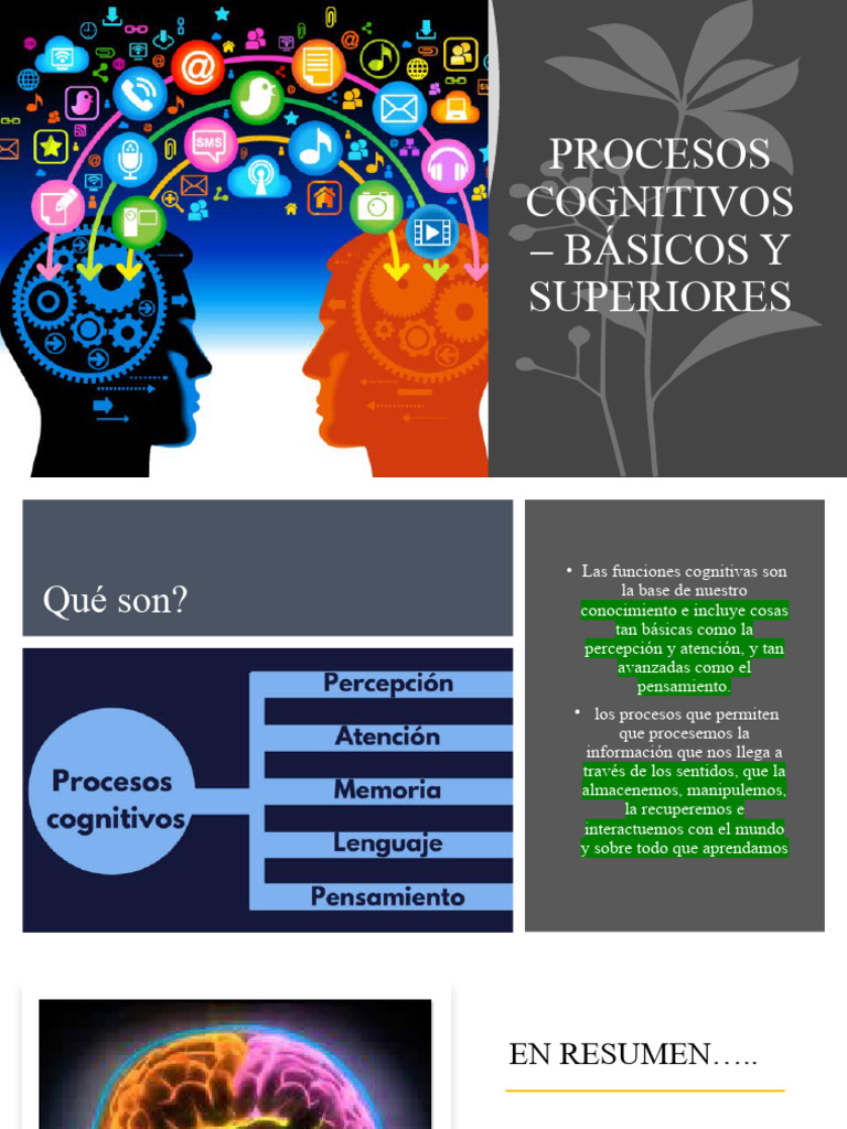 Funciones Cognitivas Superiores Y Básicas Pdf Percepción Memoria