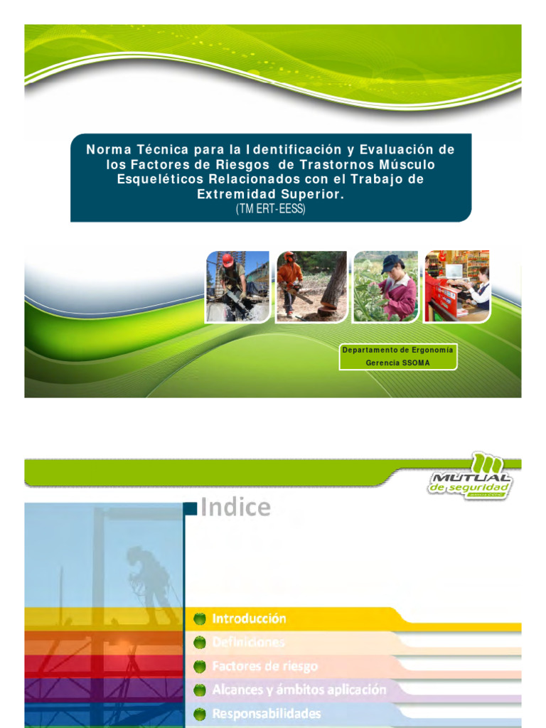 A. NORMA TECNICA TMERT-EESS Mod7 | PDF | Factores humanos y ergonomía | Medicina CLINICA