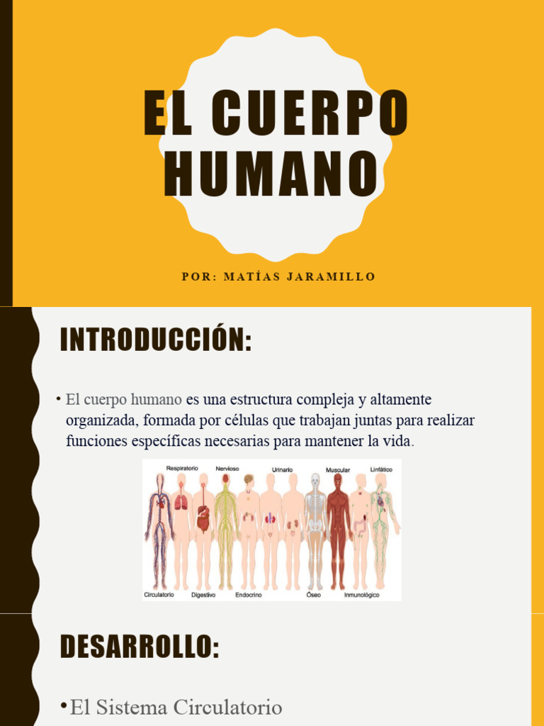 El Cuerpo Humano Matias Jaramillo | PDF | Ciencia y matemáticas ...