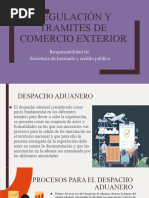 Qué es un PAMA y su procedimiento | PDF | aduana | Multa (pena)