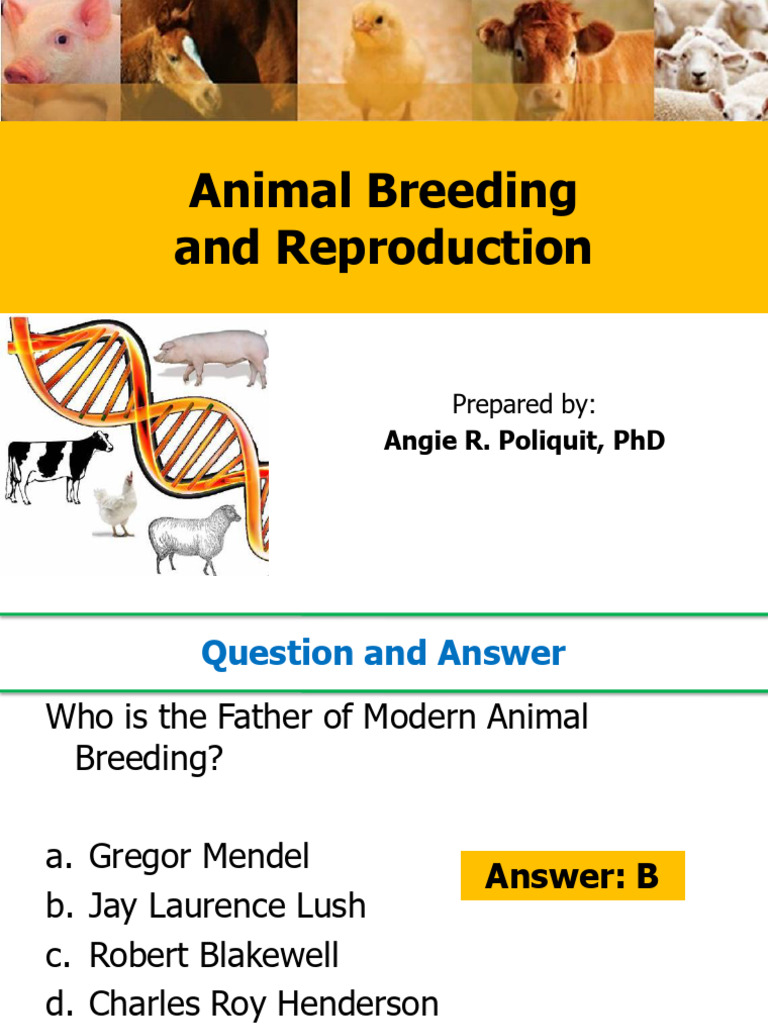 FINAL - ALE - An Breeding - Genetics | PDF | Heritability | Meiosis