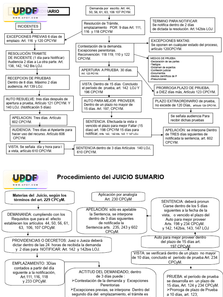 Procedimiento según Art. 61 CPCYM | PDF | Apelación | Sentencia (ley)