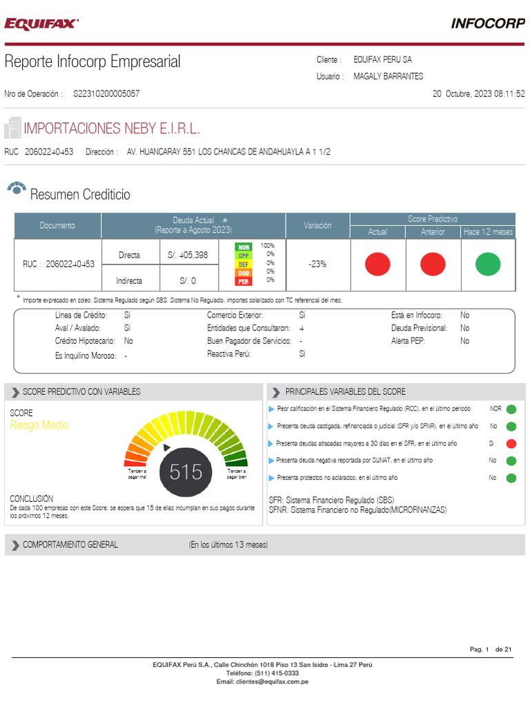 Informe Crediticio Empresarial | PDF