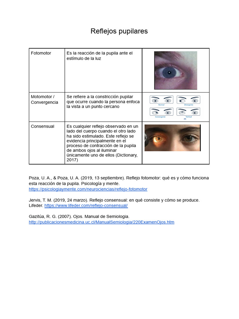 Reflejos pupilares: fotomotor y consensual | PDF | Relaciones ...