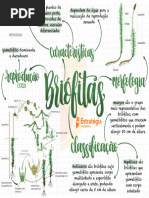 Mapa Mental - Angiospermas 1 - Biologia | PDF