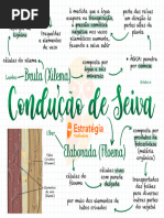 Mapa Mental - Angiospermas 1 - Biologia | PDF