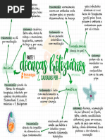 Mapa Mental - Angiospermas 1 - Biologia | PDF