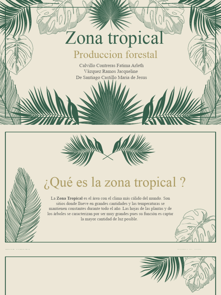 Zona Tropical | PDF | Zona tropical