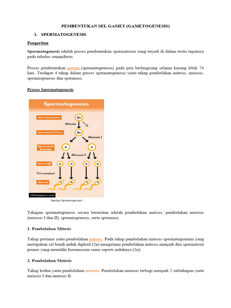 Pembentukan Sel Gamet | PDF | Pengembangan Diri | Kesehatan Holistik