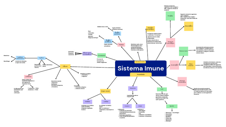 Mapa Conceitual - Sistema Imune | PDF | Sistema imunológico | Linfócito