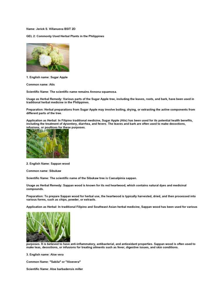 Herbal | PDF | Botany | Plants