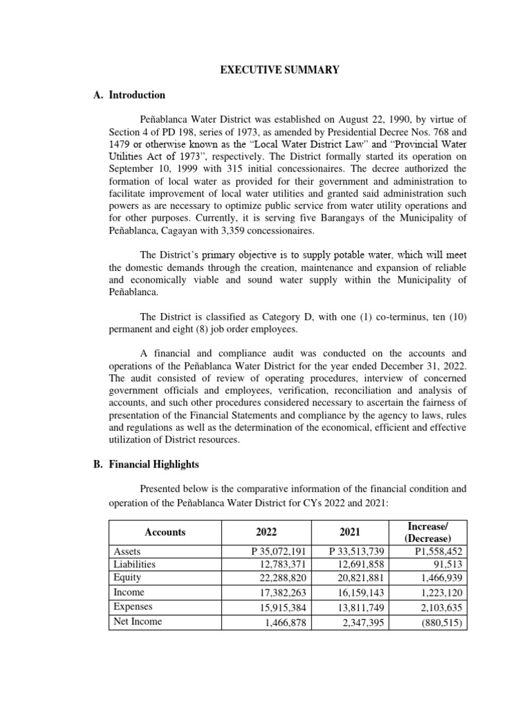 Peñablanca Water Audit Report | PDF | Insurance | Financial Services