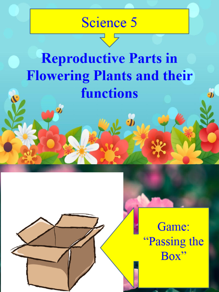 Cot 2 Reproductive Parts of Flower | Download Free PDF | Flowers | Petal