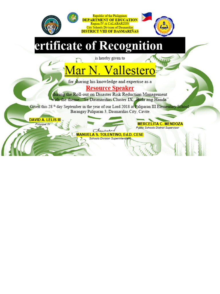 Certificate SDRRM Roll Out 2018 | PDF