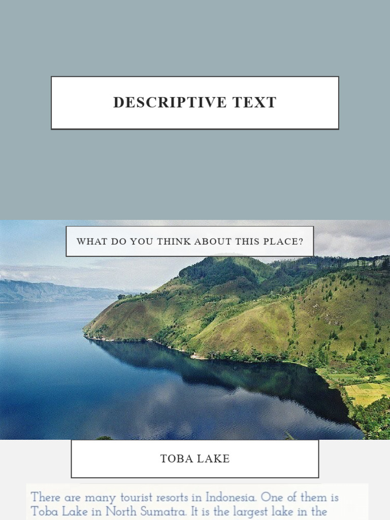 Descriptive Text | PDF