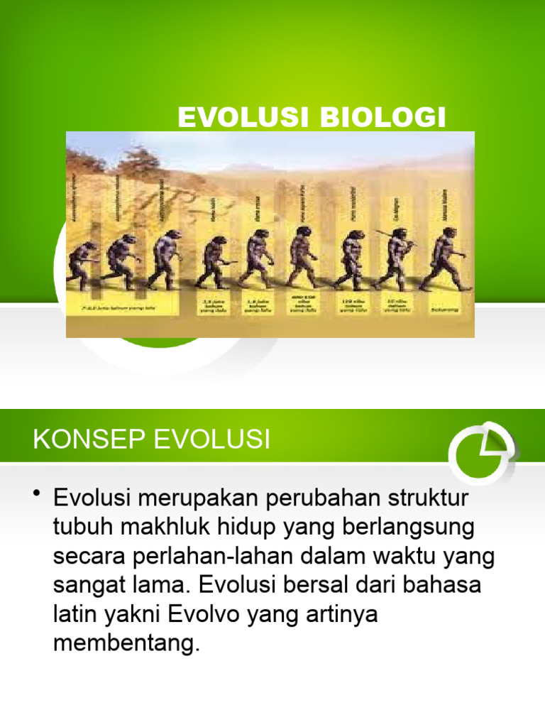 Evolusi Biologi | PDF
