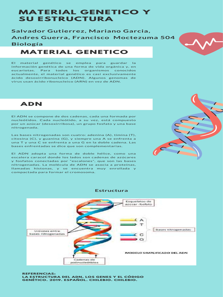 Material Genetico y Su Estructura | PDF