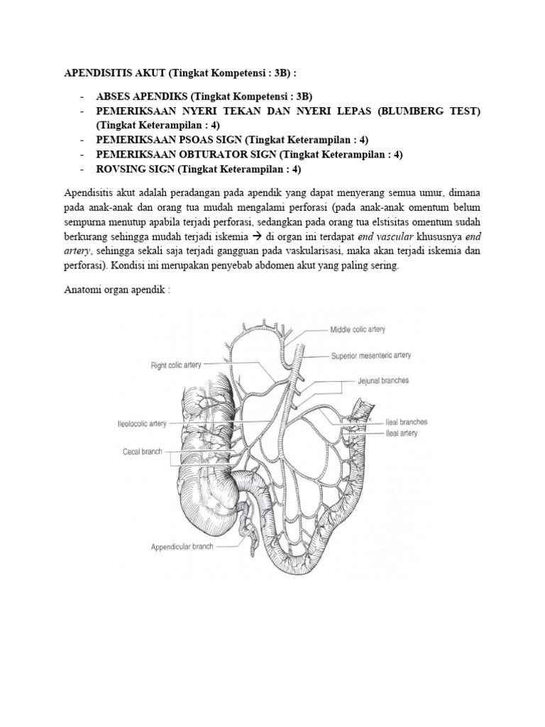 Apendisitis Akut | PDF