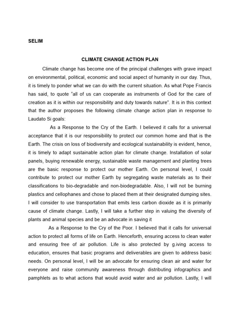 Climate Change Action Plan | PDF